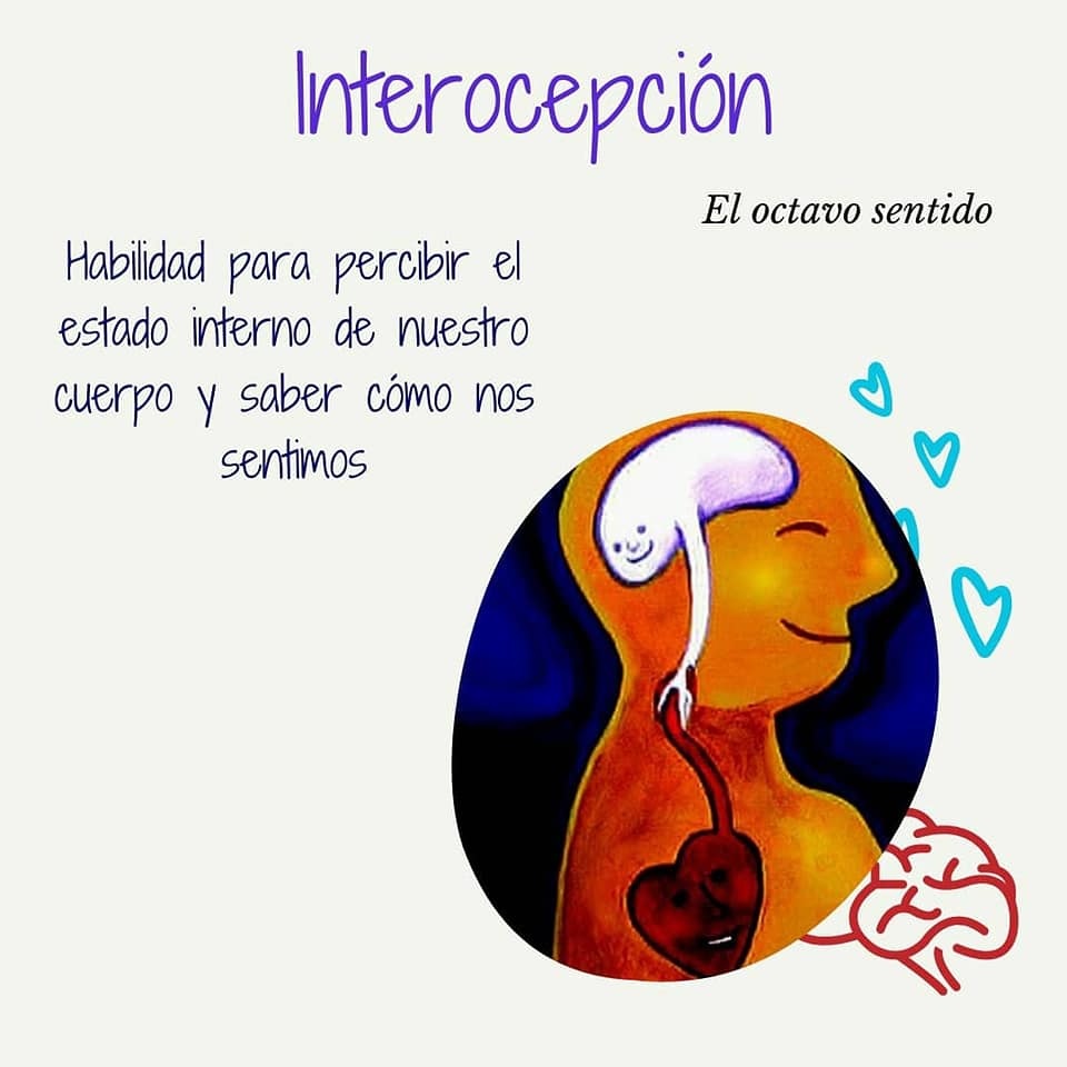 Propiocepción Vs Interocepción y Exterocepción - AT YOGA